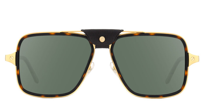 Cartier Sunglasses | Cartier Fall/Winter 2021 Collection